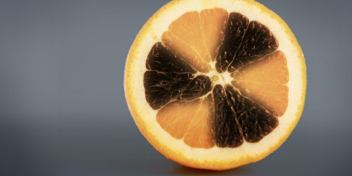 Verschillende voedselveiligheidsgevaren - Riskplaza Europe